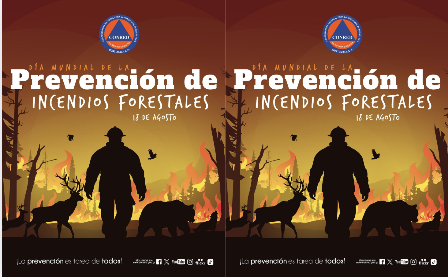 Guatemala registra 1,691 incendios forestales en 2025: Conred llama a ...